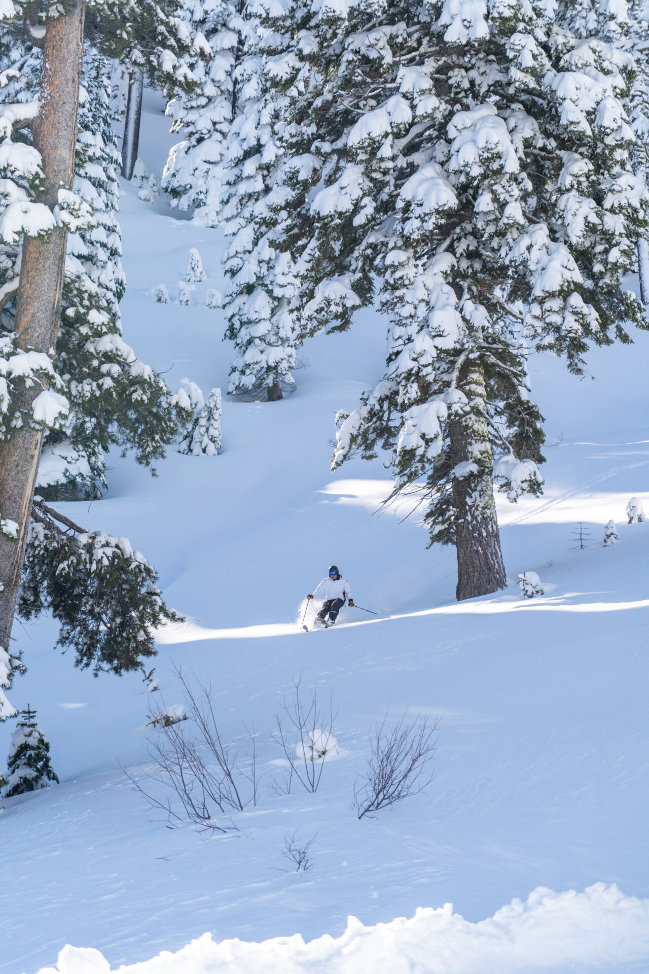 1/9/2026 Current Conditions – All Systems Go | Homewood Mountain Resort